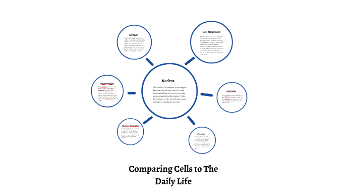 Comparing Cells to The Daily Life by amanda godfrey on Prezi