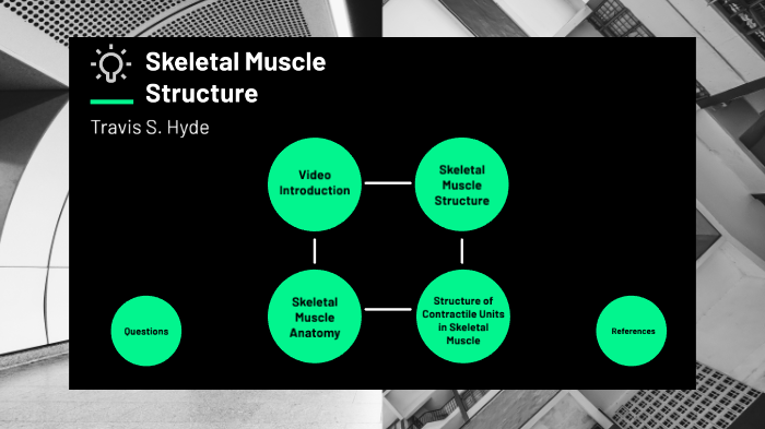 Skeletal Muscle Structure by Travis Hyde on Prezi