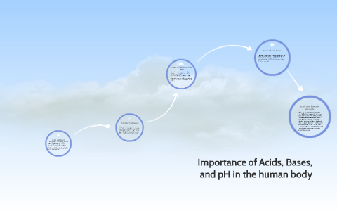 Importance of Acids, Bases, and pH in the human body by Mia Wamsley on ...
