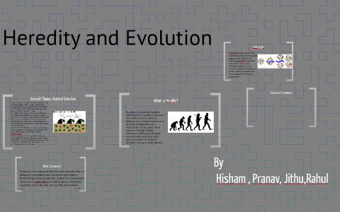 Heredity and Evolution by Pranav Shashi on Prezi