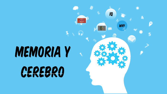 Proyecto 2 Memoria Y Cerebro By Gianfranco Ortiz Velasquez On Prezi