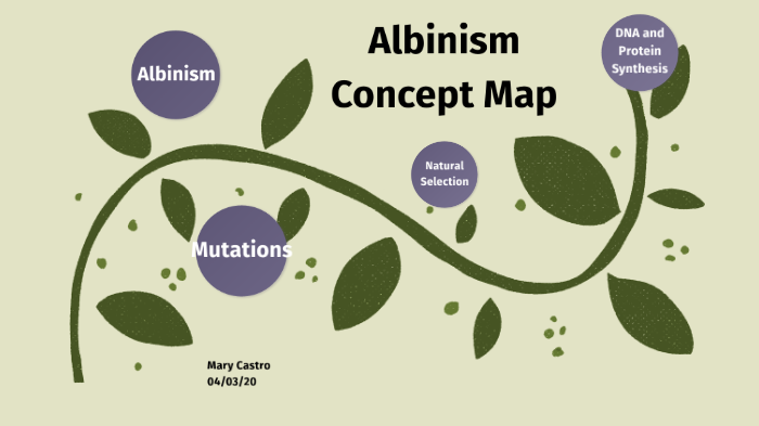 Albinism Concept Map by Mary Castro on Prezi