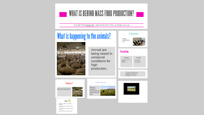 WHAT IS BEHIND MASS FOOD PRODUCTION? by maria salas