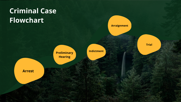 Criminal Case Flowchart by Ryan Connor on Prezi