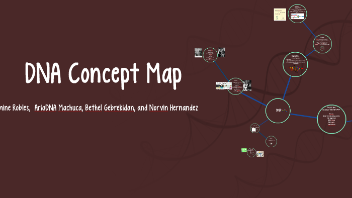 DNA Concept Map by Jasmine Robles on Prezi