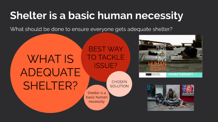 Shelter is a basic human necessity. What should be done to ensure ...