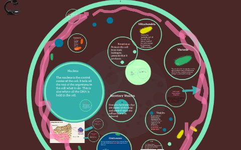 Cell Project by Naya Jackson