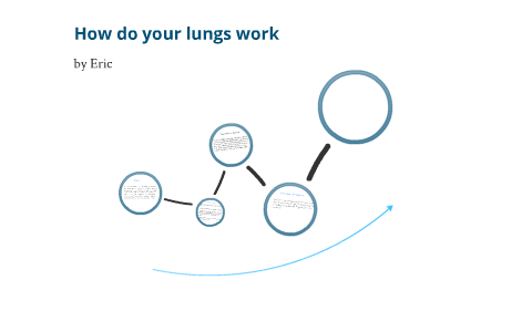 how do your lungs work by room 602 on Prezi