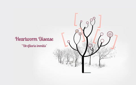 Heartworm Disease by sam yacobacci on Prezi