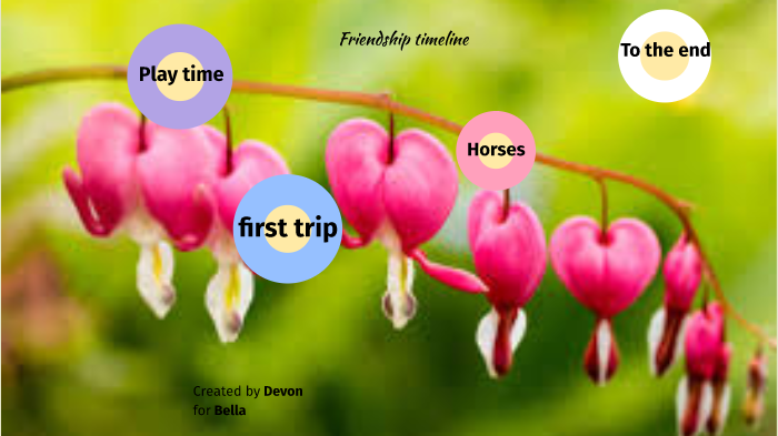 Friendship timeline by Devon Slikkers on Prezi
