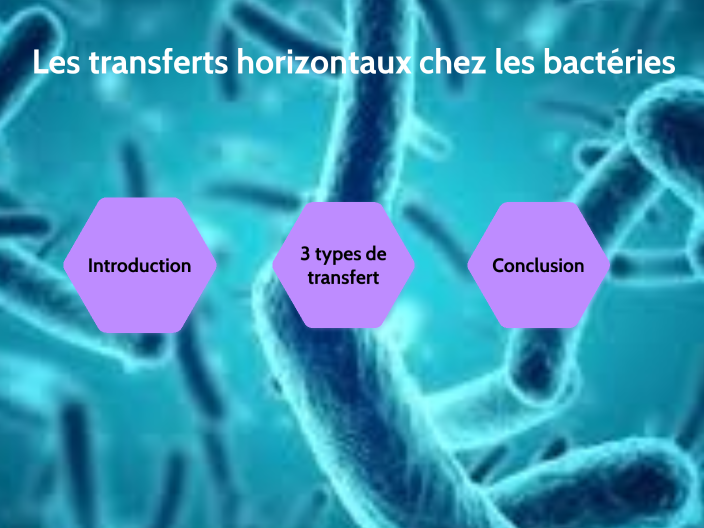 svt spé Alex-Gomar by Margaud Raes on Prezi