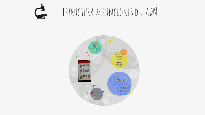 Estructura & funciones del ADN by Blanca E. Tapia on Prezi
