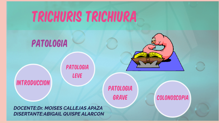 TRICHURIS TRICHIURA -PATOLOGIA by abigail alarcon on Prezi