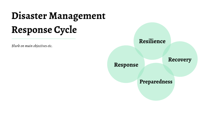 DM cycle by Amelia Hunt on Prezi