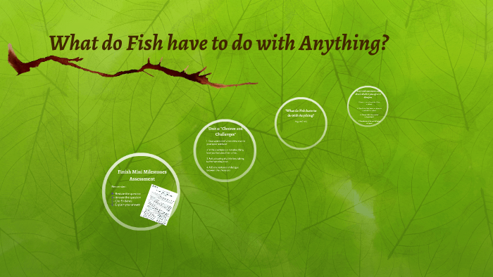 what-do-fish-have-to-do-with-anything-by-hannah-maloof