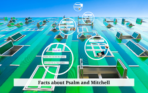 Facts about Psalm and Mitchell by Lindsey Walker