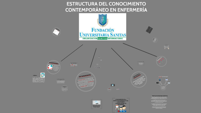 Estructura Del Conocimiento ContemporÁneo En Enfermeria By Santiago
