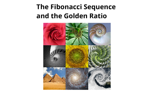 The Fibonacci Sequence & The Golden Ratio by Jelle Kranenborg on Prezi