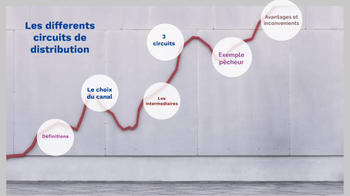 les différents circuits de distribution by tifany Makanto on Prezi