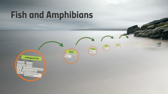 Fish and Amphibians by on Prezi