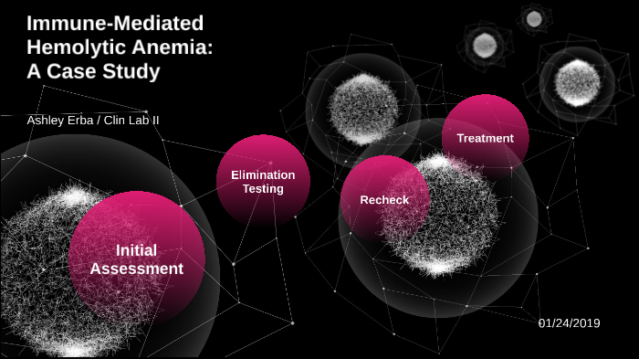 Immune-Mediated Hemolytic Anemia Case Study by Ashley Erba on Prezi