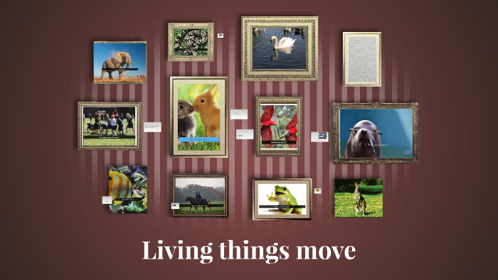 Living things move by veronica schemel on Prezi