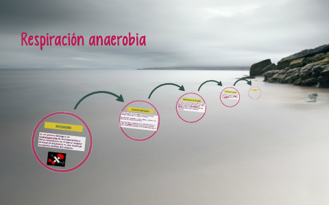 Respiración anaerobia by Patricio Bunay on Prezi