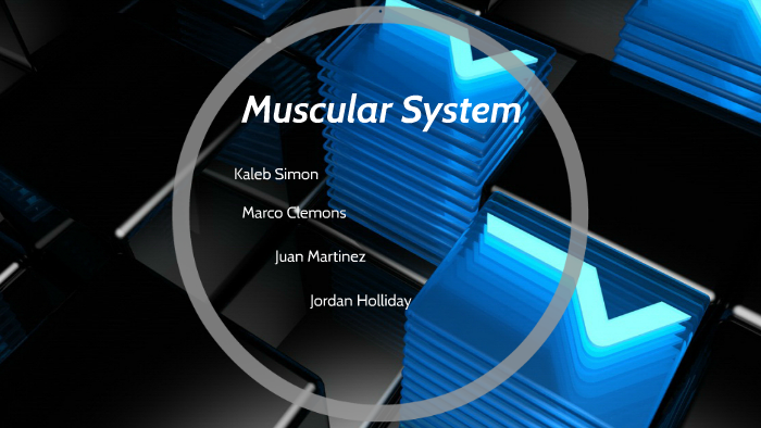 Muscular System by kaleb simon on Prezi