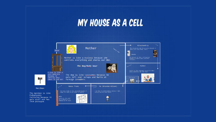 My House as a cell by Yhatha W on Prezi
