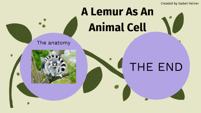 A Lemur As An Animal Cell by isabel heiner on Prezi