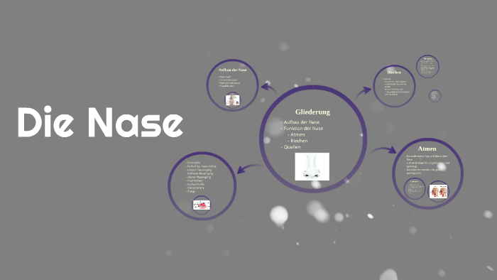 Die Nase by mailin Lietmeyer on Prezi