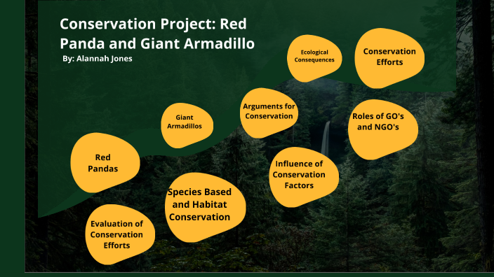 Red Panda and Giant Armadillo Conservation by ALANNAH JONES on Prezi