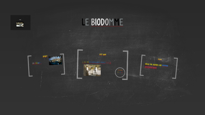 projet by ethan renaud on Prezi