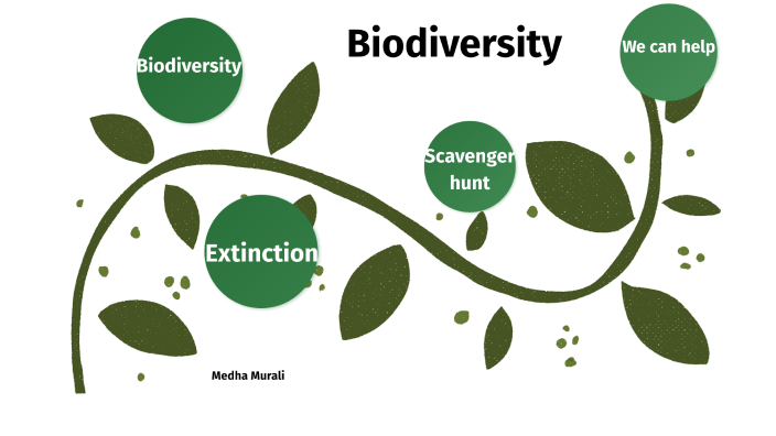 Biodiversity Scavenger Hunt by Medha Murali on Prezi