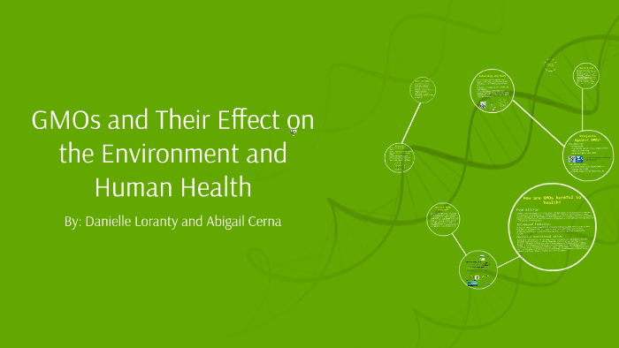The Effect of GMOs on the Environment and Human Health by Danielle L on ...