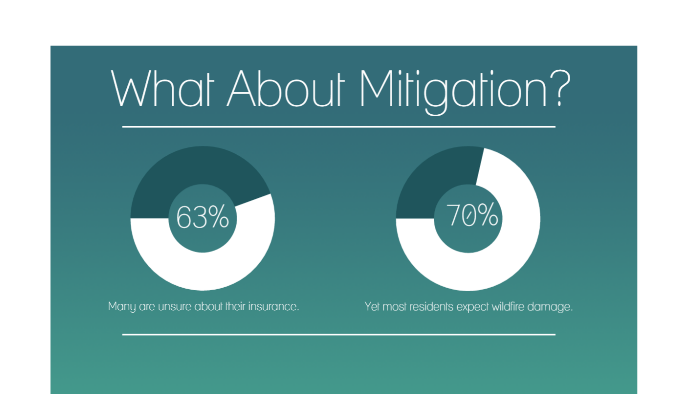 Infographic-What About Mitigation by Pam Froemke on Prezi
