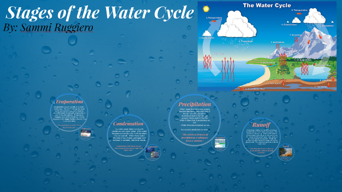 Stages of the Water Cycle by Sammi Ru on Prezi