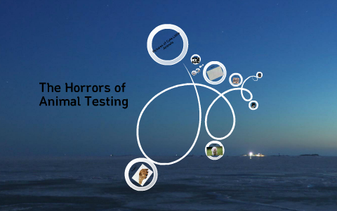 The Horrors of Animal Testing by Hannah Hammond on Prezi