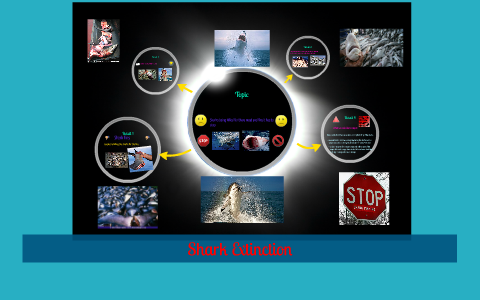 Shark Extinction by maya horton on Prezi