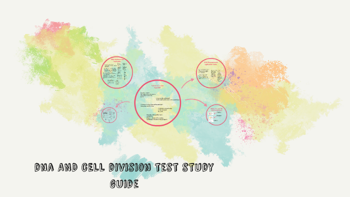 DNA and cell division study guide by Katie Kinser on Prezi