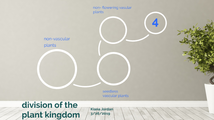 divisions of the plant kingdom by kiana jordan on Prezi