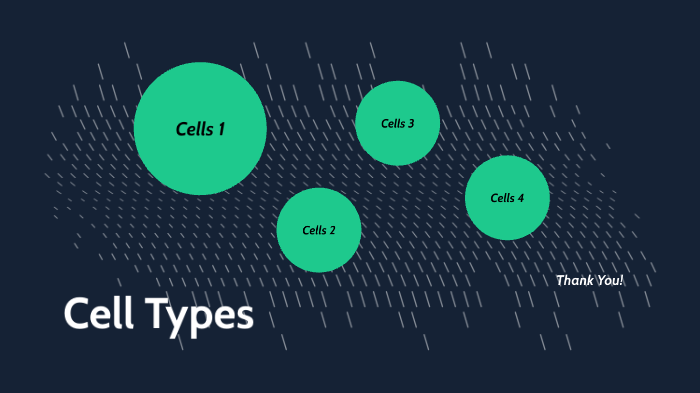 Cell Types by Alissa Adkison on Prezi