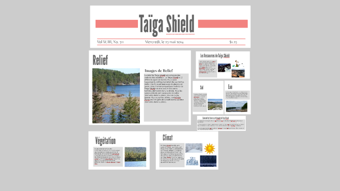 Taiga Shield by h j