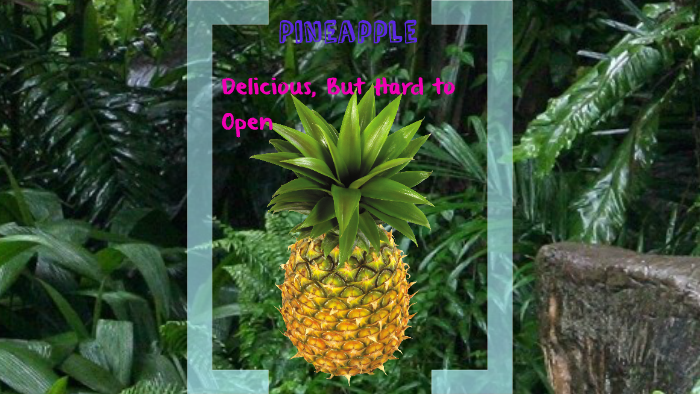 Pineapple by tyler bulmer on Prezi