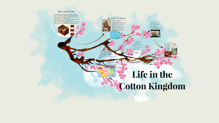 Life in the Cotton Kingdom by Michelle Wright on Prezi