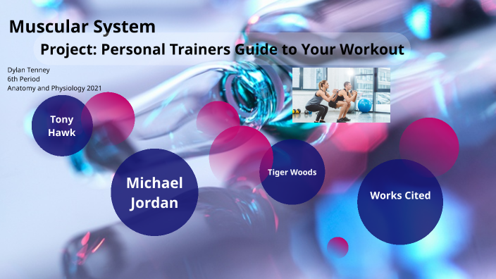 Muscular System Project by on Prezi