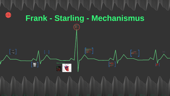 Frank - Starling - Mechanismus by Max Langer on Prezi