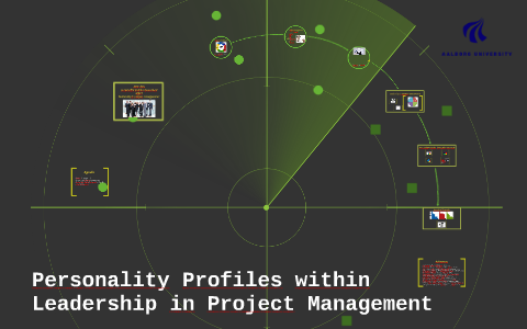 Personality Profiles within Leadership in Project Management by ...