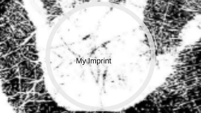 My Imprint on the World by Katie Sims on Prezi