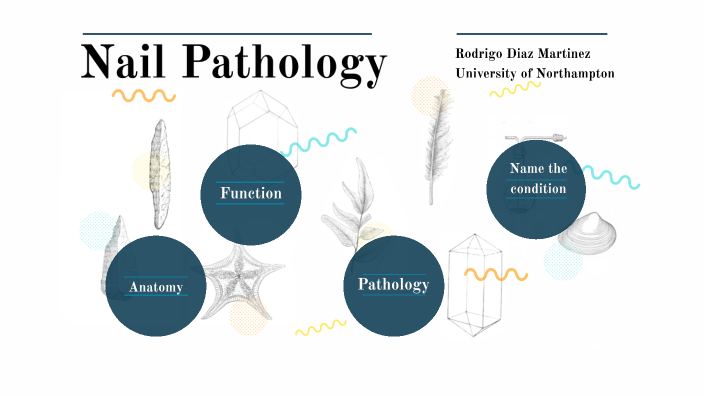 Nail Pathology by Rodrigo Díaz Martínez on Prezi
